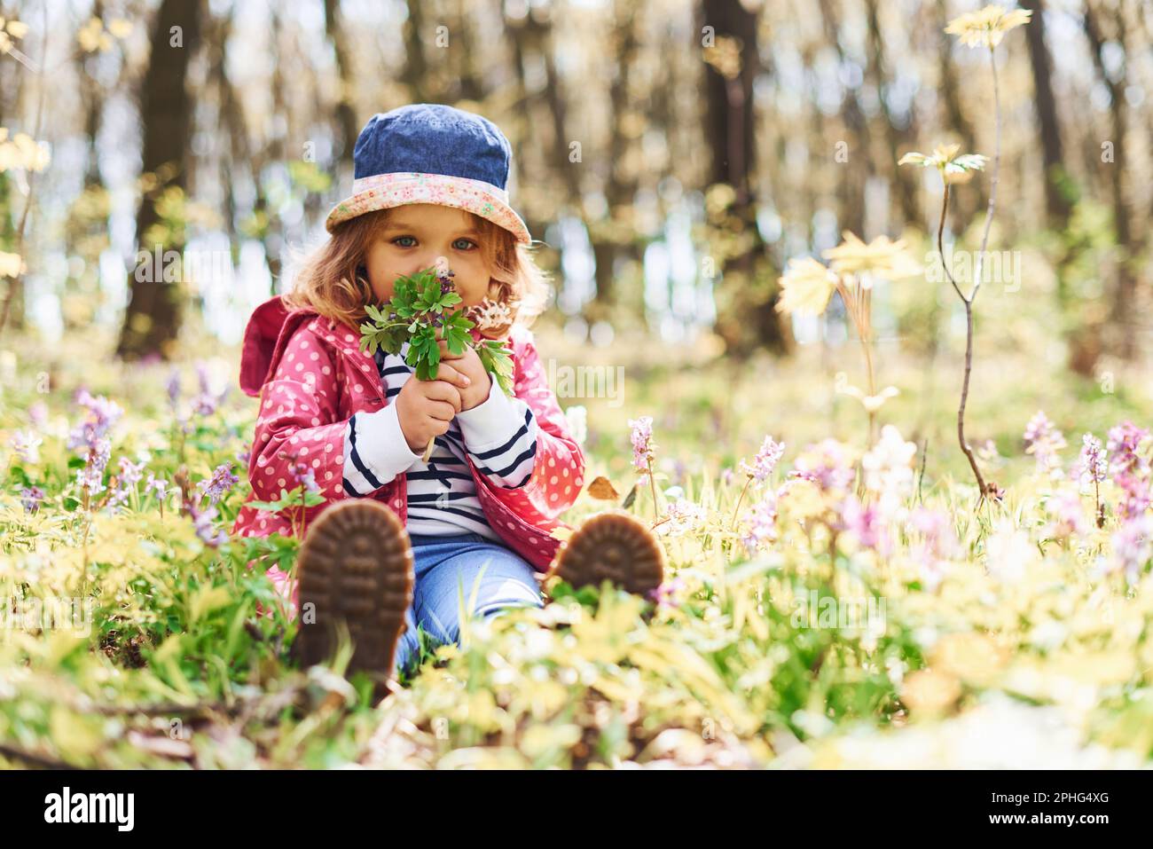 Happy little girl in blue hat have walk in spring forest at daytime ...