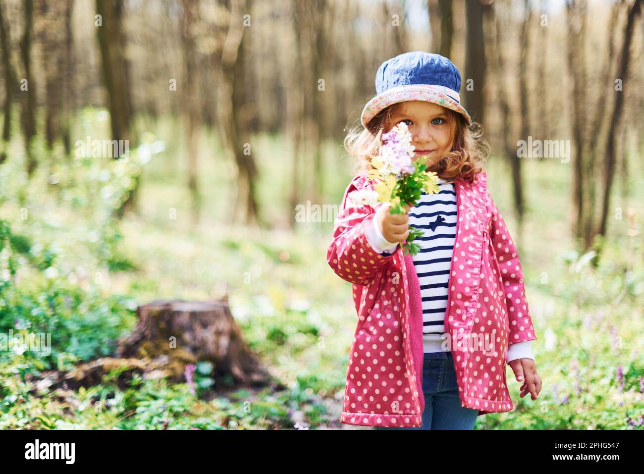 Happy little girl in blue hat have walk in spring forest at daytime ...