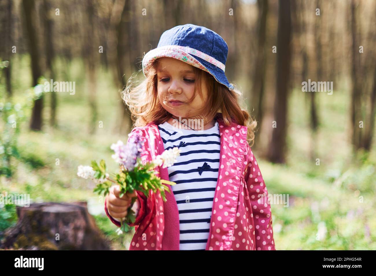 Happy little girl in blue hat have walk in spring forest at daytime ...
