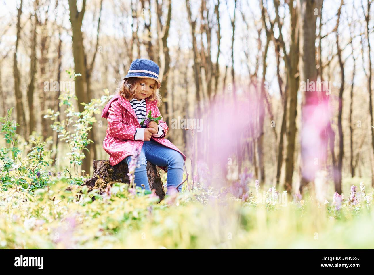 Happy little girl in blue hat have walk in spring forest at daytime ...
