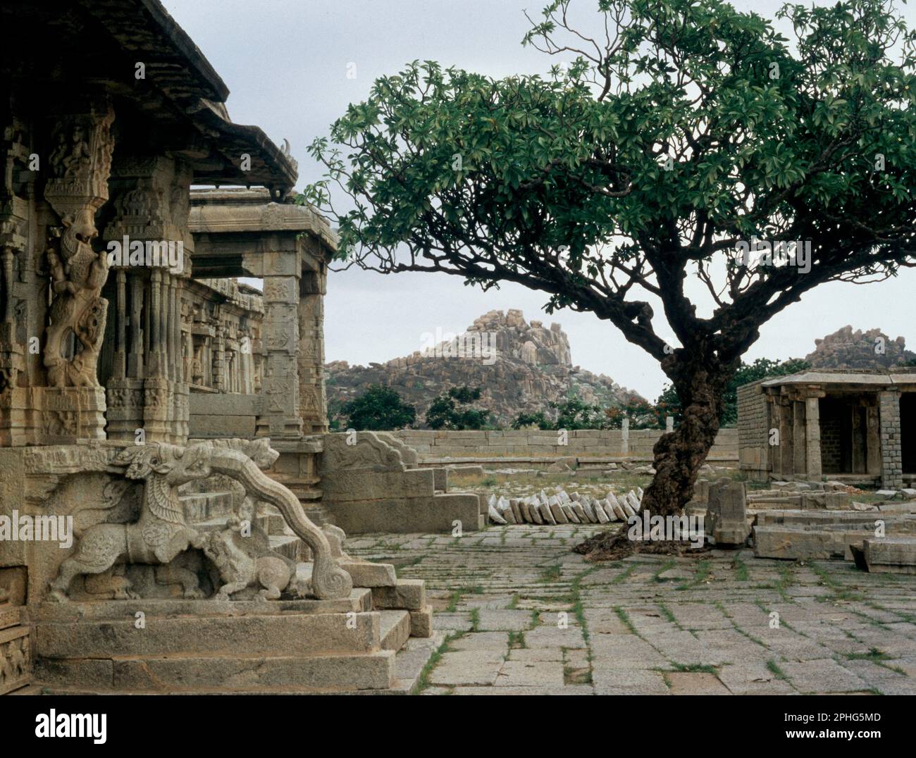 TEMPLO VITTHALA - 1440 - PATIO Y DETALLE ESCULTORICO DE ESCALONES ...