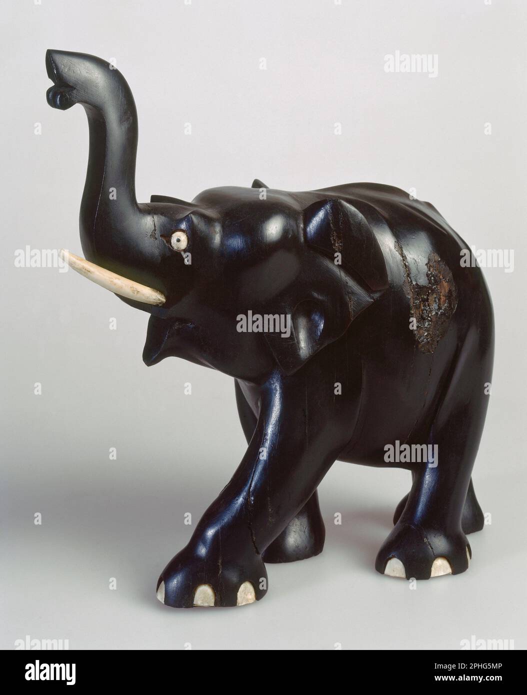 Elefante marfil hi-res stock photography and images - Alamy
