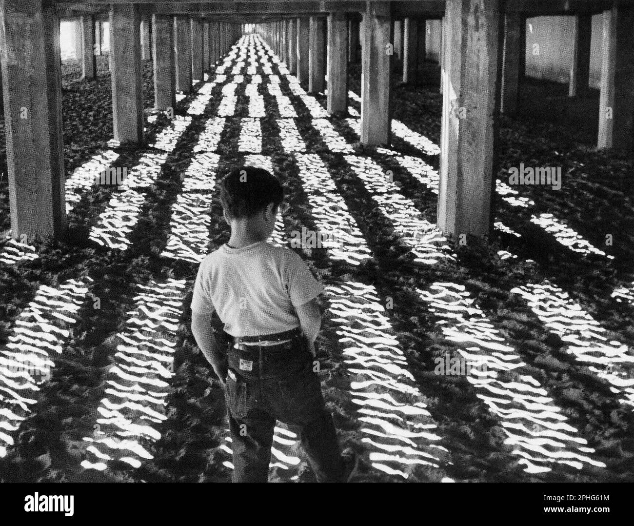 RICHIE ANDRUSCO in LITTLE FUGITIVE (1953), directed by RAY ASHLEY ...