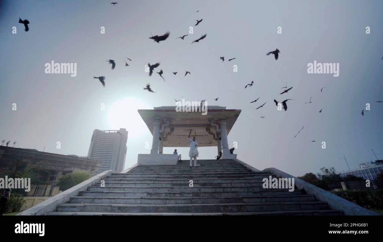 ALL THAT BREATHES (2022), directed by SHAUNAK SEN. Credit: HBO ...