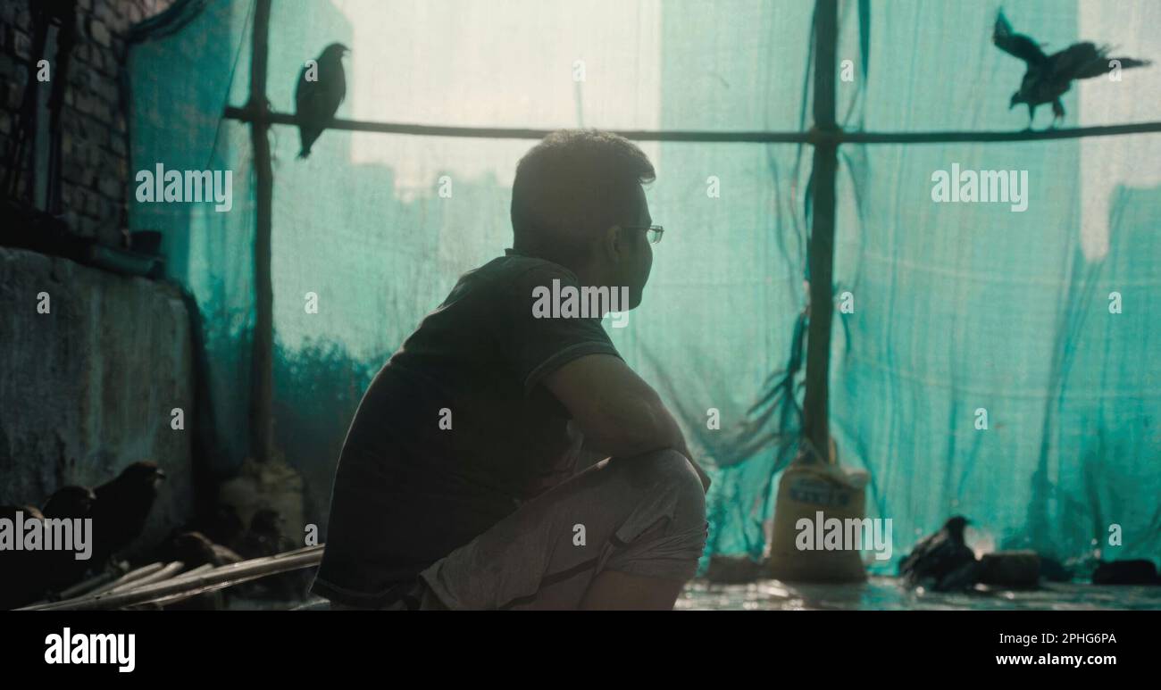 ALL THAT BREATHES (2022), directed by SHAUNAK SEN. Credit: HBO ...