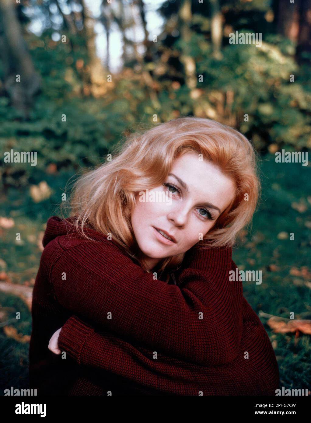 ANN-MARGRET in CARNAL KNOWLEDGE (1971), directed by MIKE NICHOLS ...