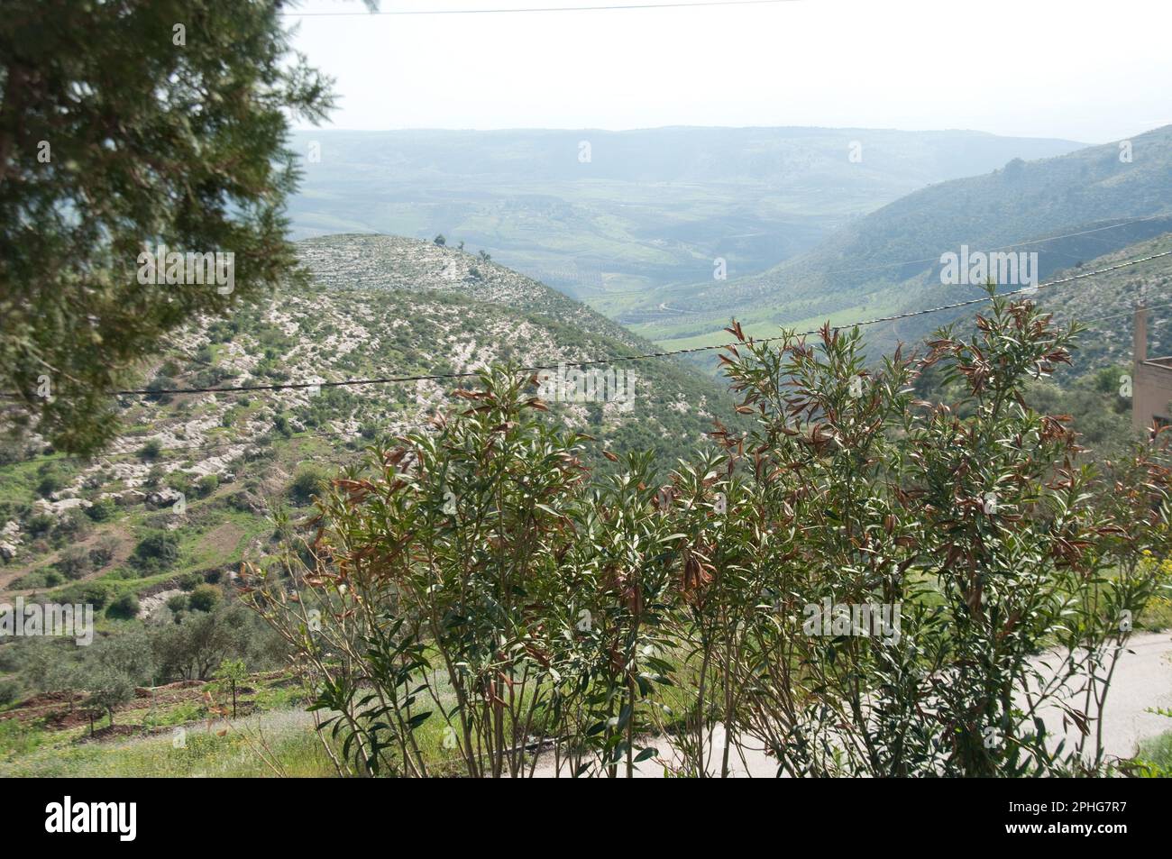 Irbid, jordan hi-res stock photography and images - Alamy