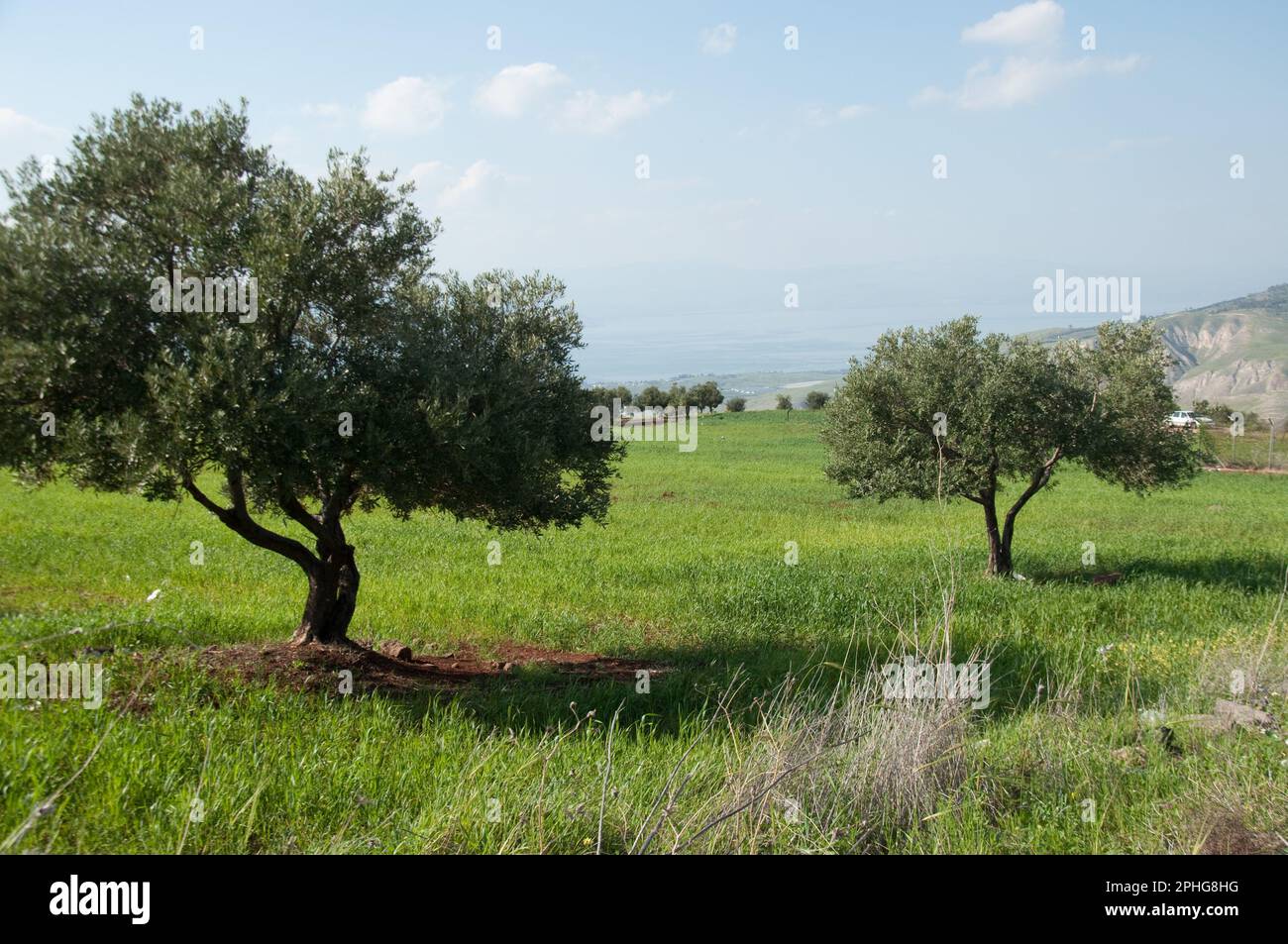 Irbid jordan hi-res stock photography and images - Alamy