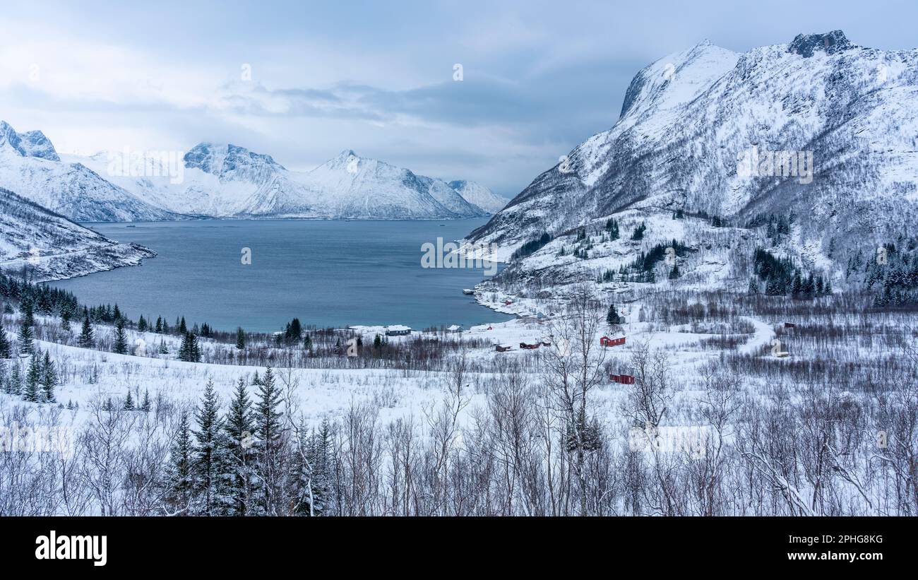 See mit insel und bäumen hi-res stock photography and images - Alamy