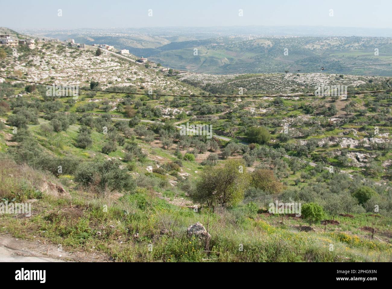 The beautiful countryside of Northern Irbid Governate, Irbid Governate ...
