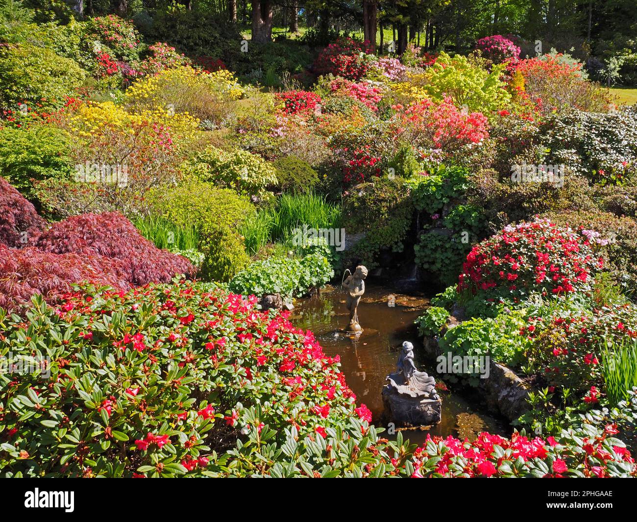 Spring garden pond country hi-res stock photography and images - Alamy