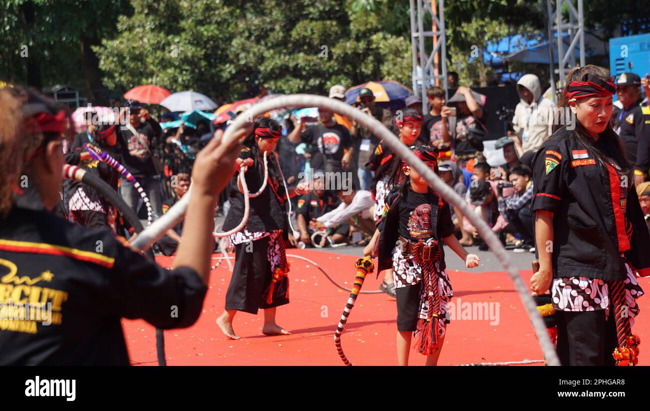 Pecut samandiman hi-res stock photography and images - Alamy