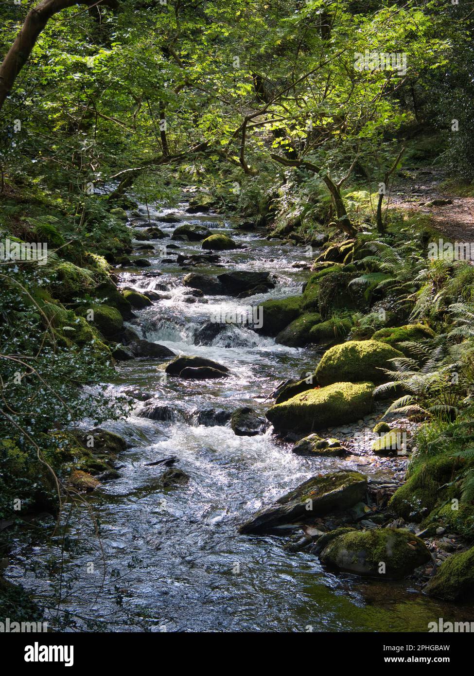 Fast moving stream through English country garden Stock Photo - Alamy