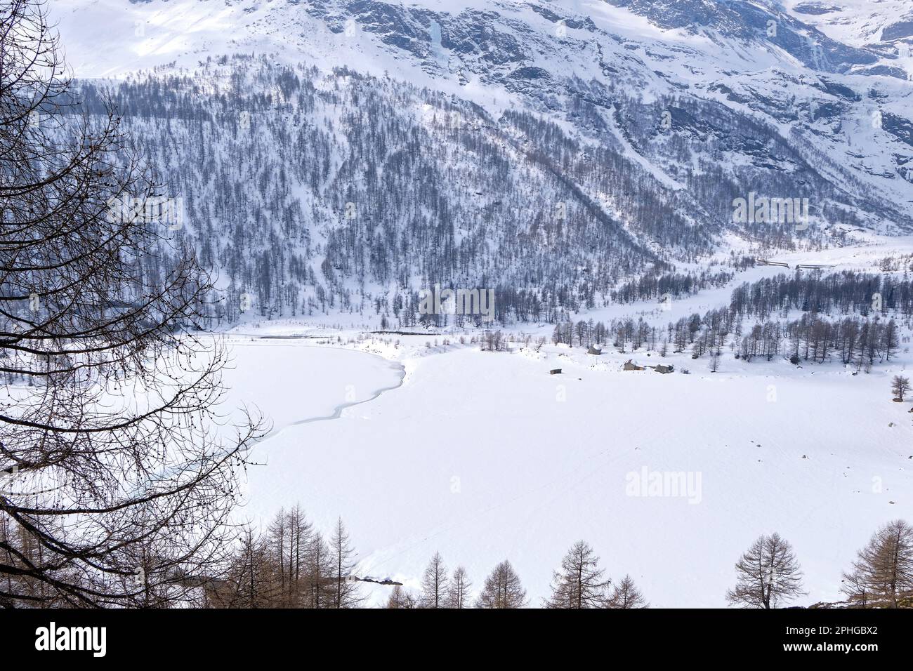 Canton Graubunden, Switzerland : Landscape in Alp Grum train station ...