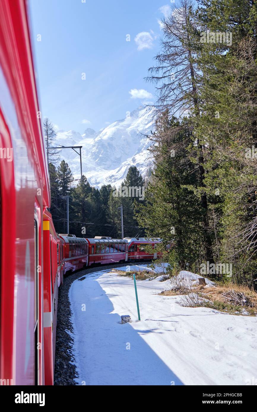 The famous Swiss mountain train of Bernina Express crossed italian and ...