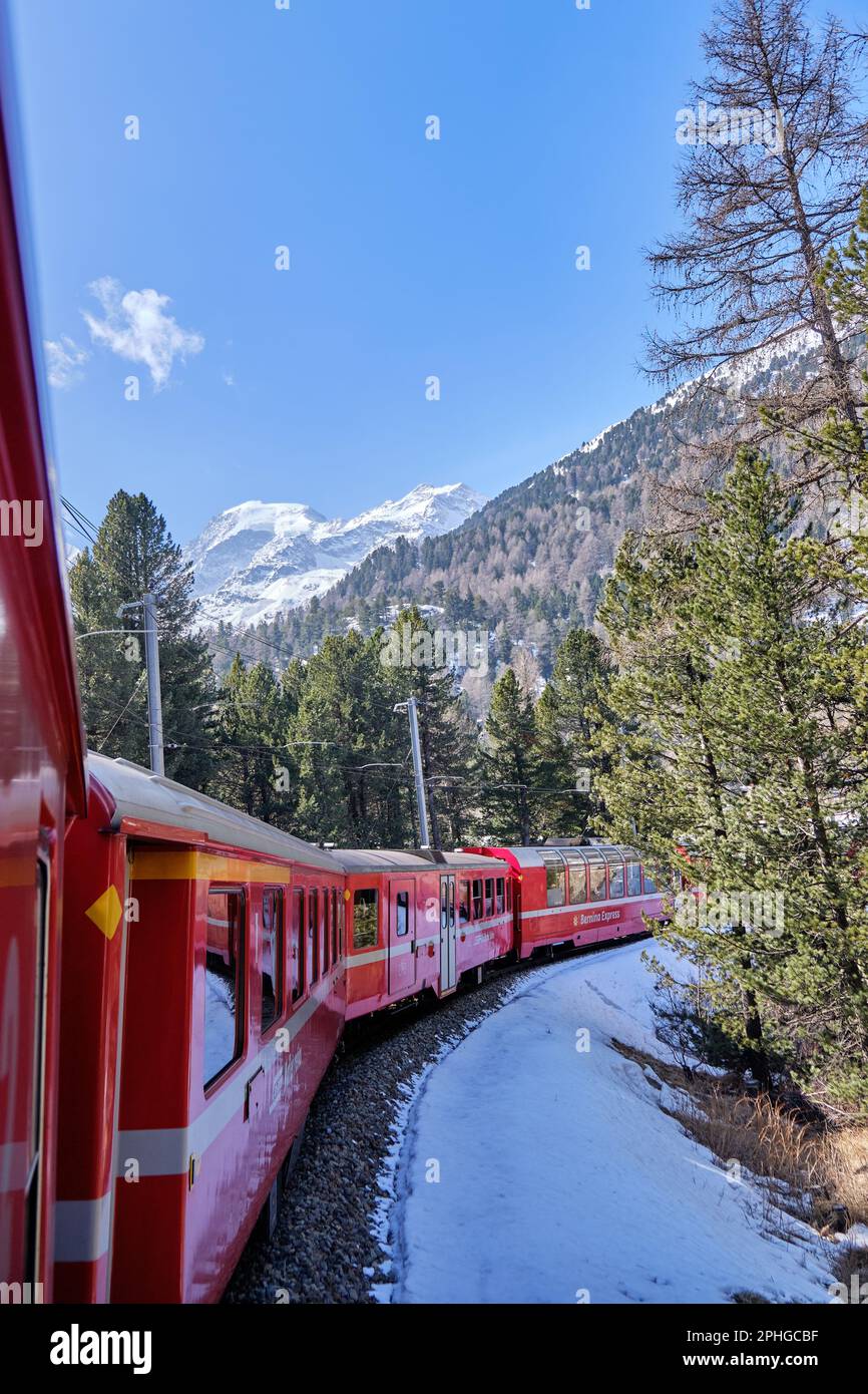 The famous Swiss mountain train of Bernina Express crossed italian and ...