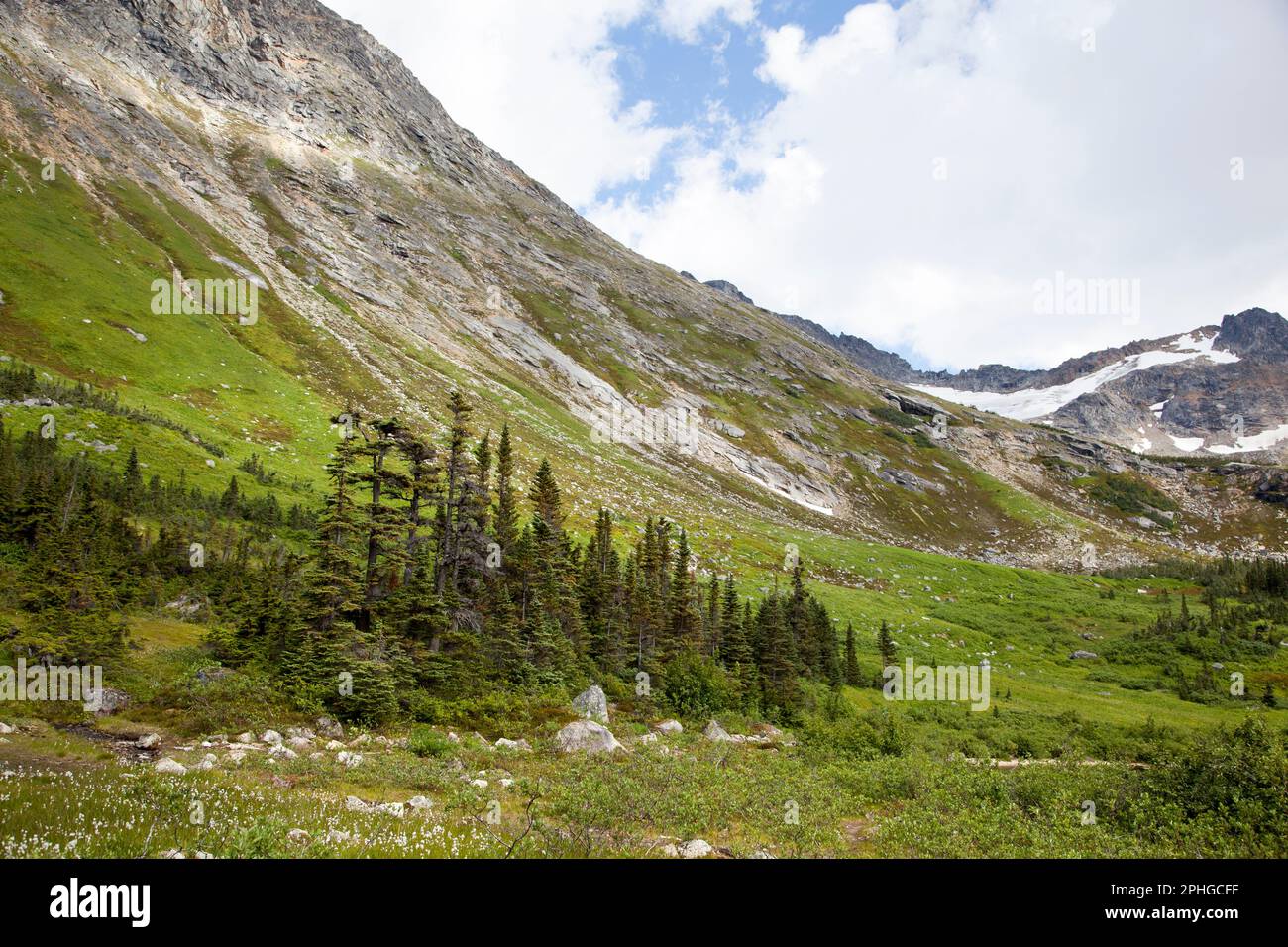 The Summer view of Upper Dewey Lake green surrounding landscape at the ...