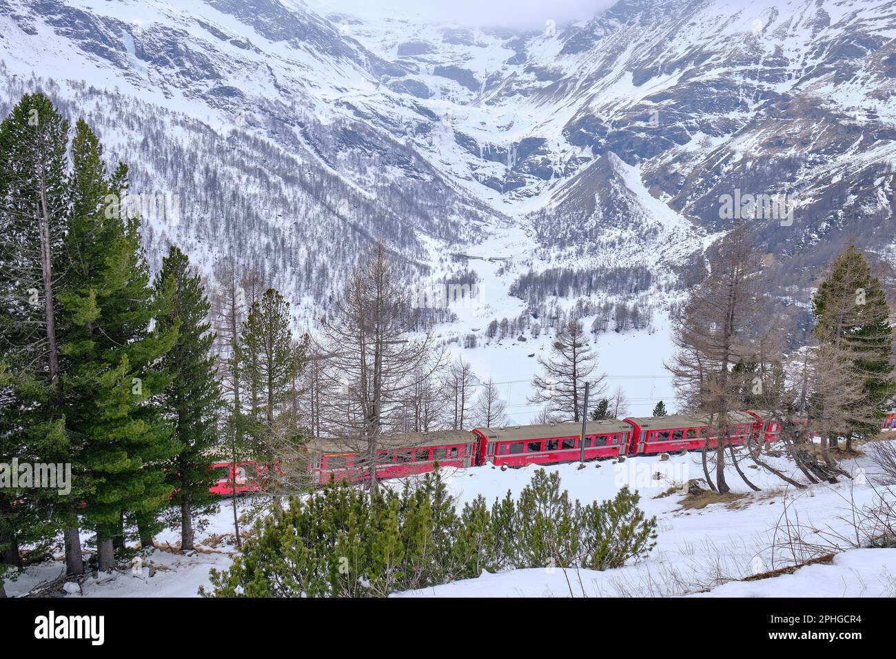 The famous Swiss mountain train of Bernina Express crossed italian and ...