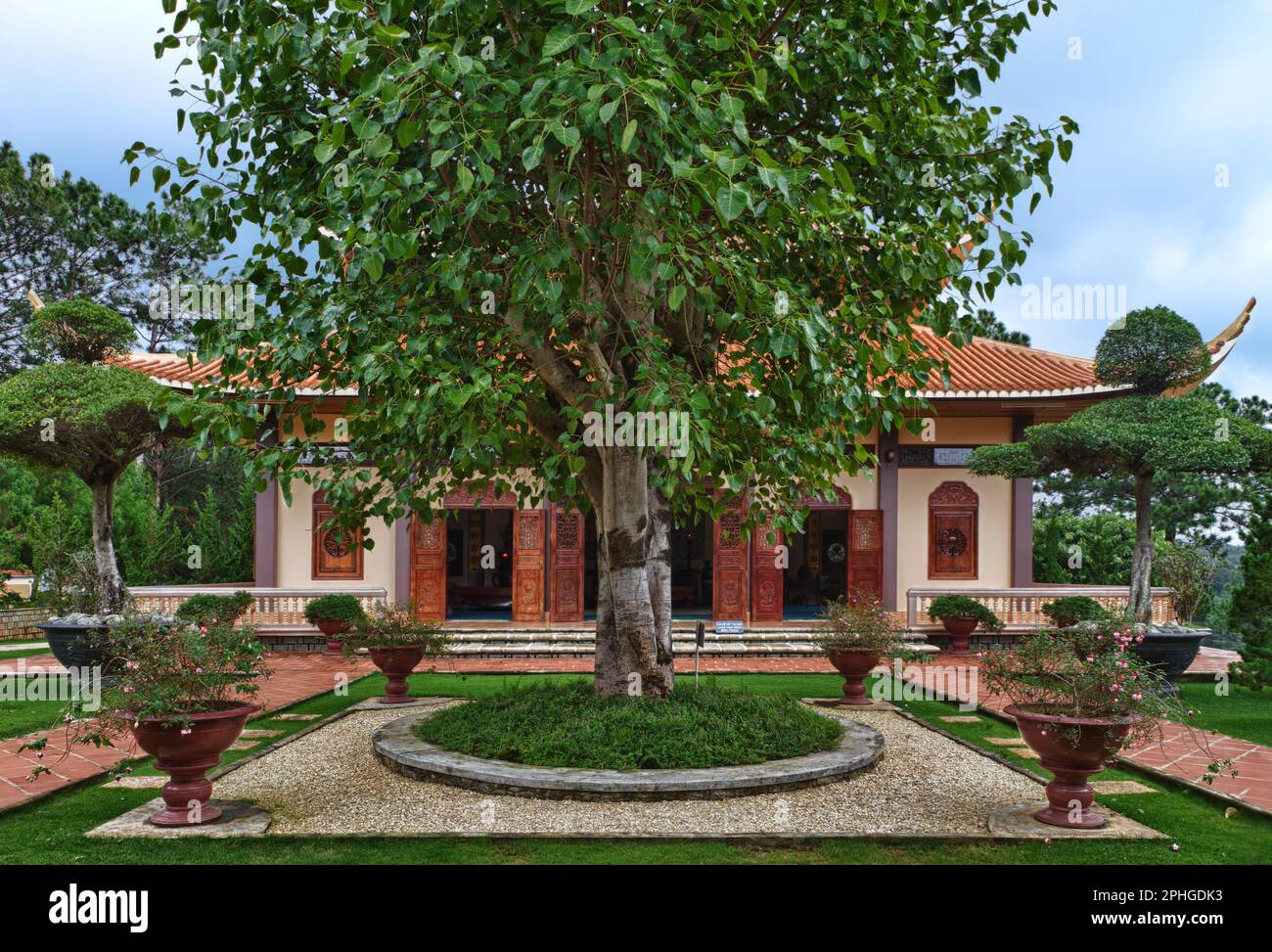 Chua Thien Vuong Pagoda with tree, Dalat, Vietnam Stock Photo - Alamy