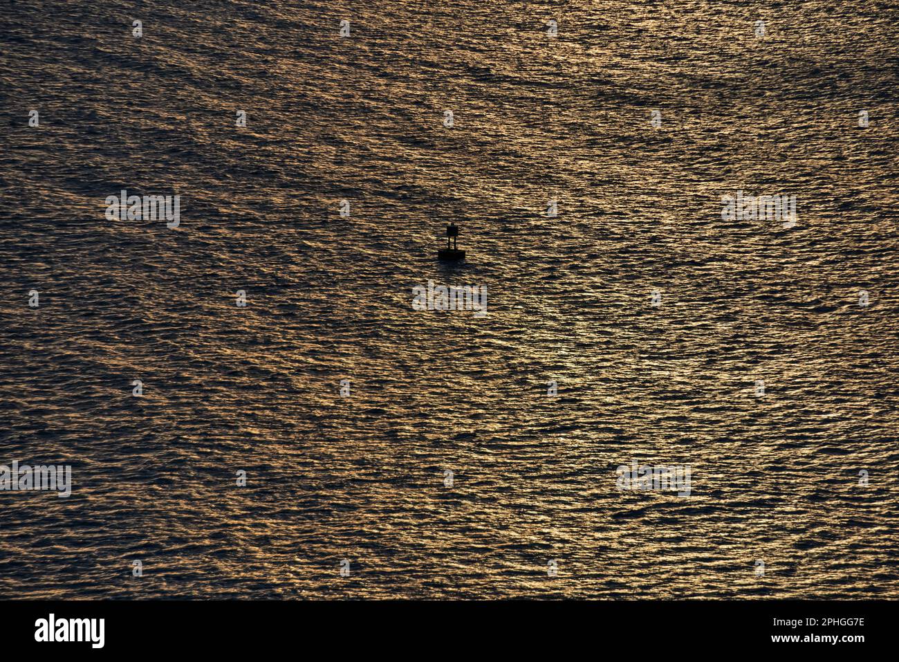 Buoy in the sea, Southern Caribbean Stock Photo - Alamy