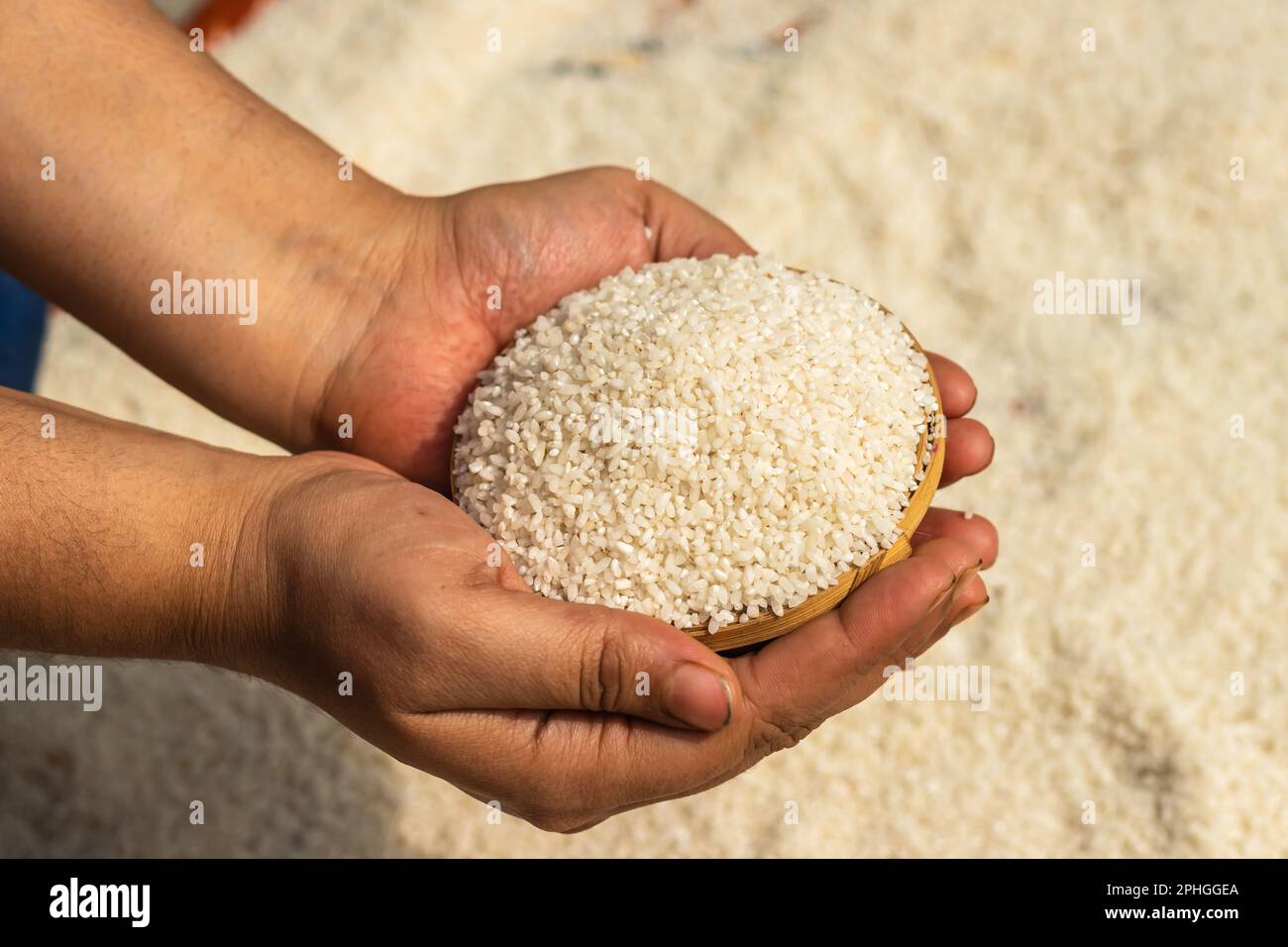 Rice in the hands hi-res stock photography and images - Alamy