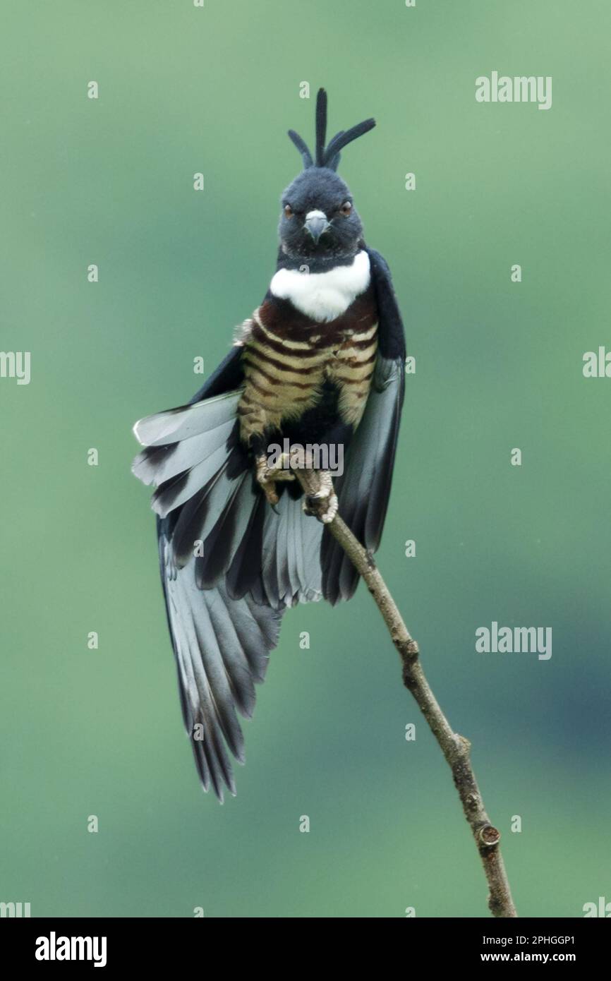 Beautiful moving display hi-res stock photography and images - Alamy