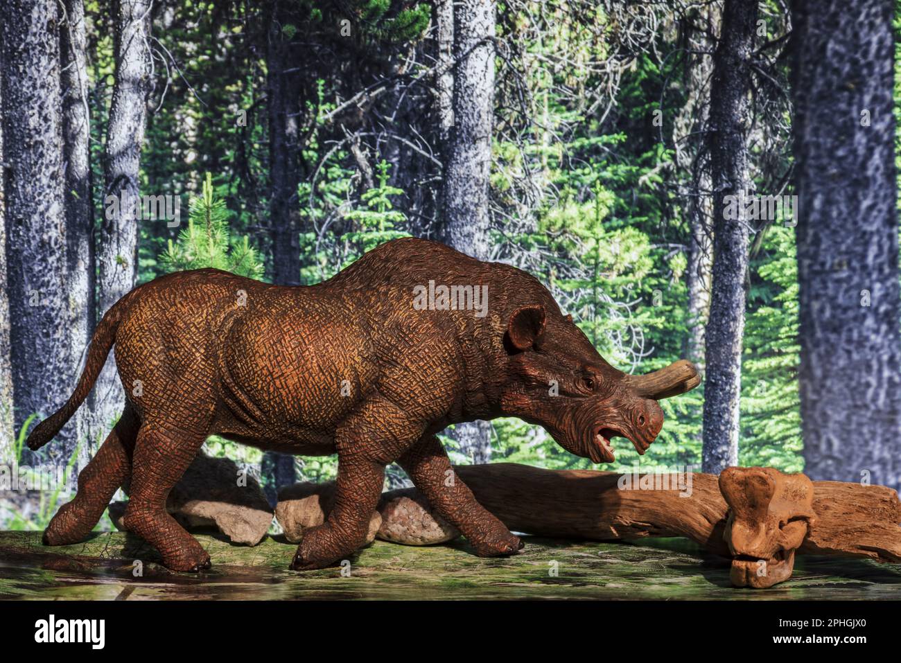 Prehistoric mammals toob hi-res stock photography and images - Alamy