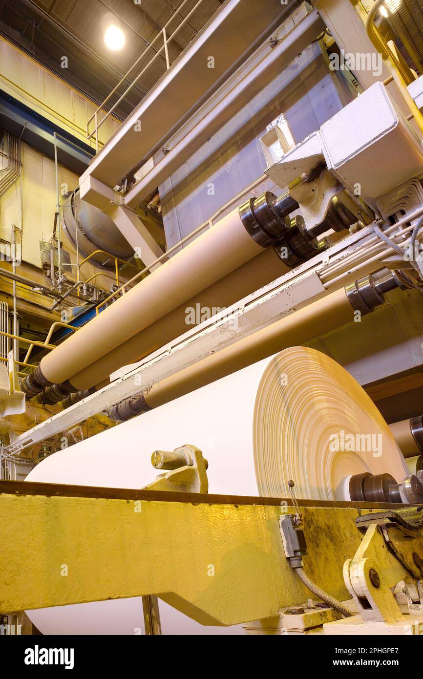 Big rolls of paper coming out of the machinery in a paper mill plant ...