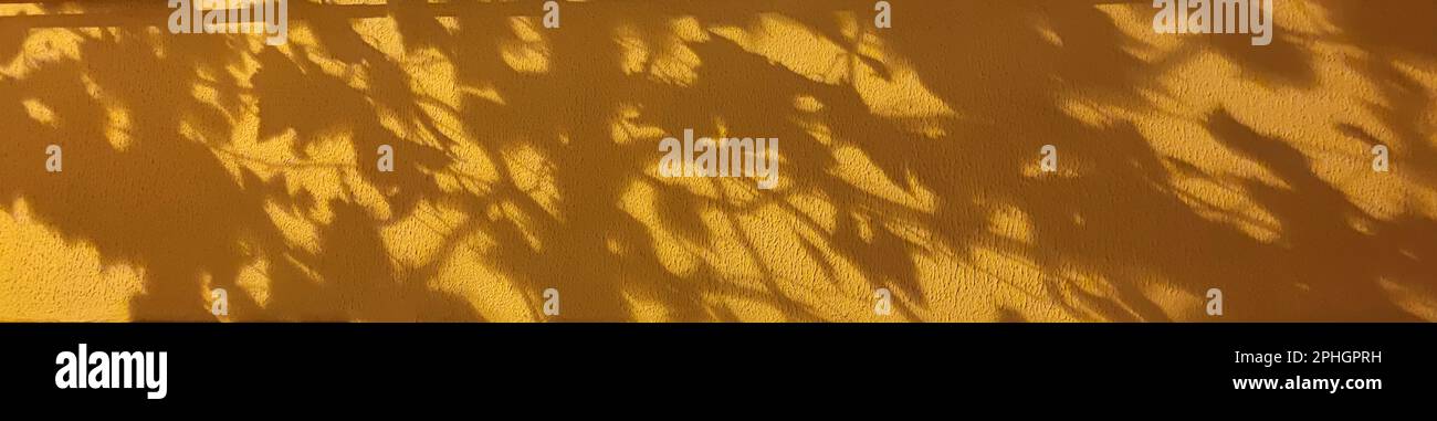 blurred shadow from leaves on yellow plastered wall for horizontal ...