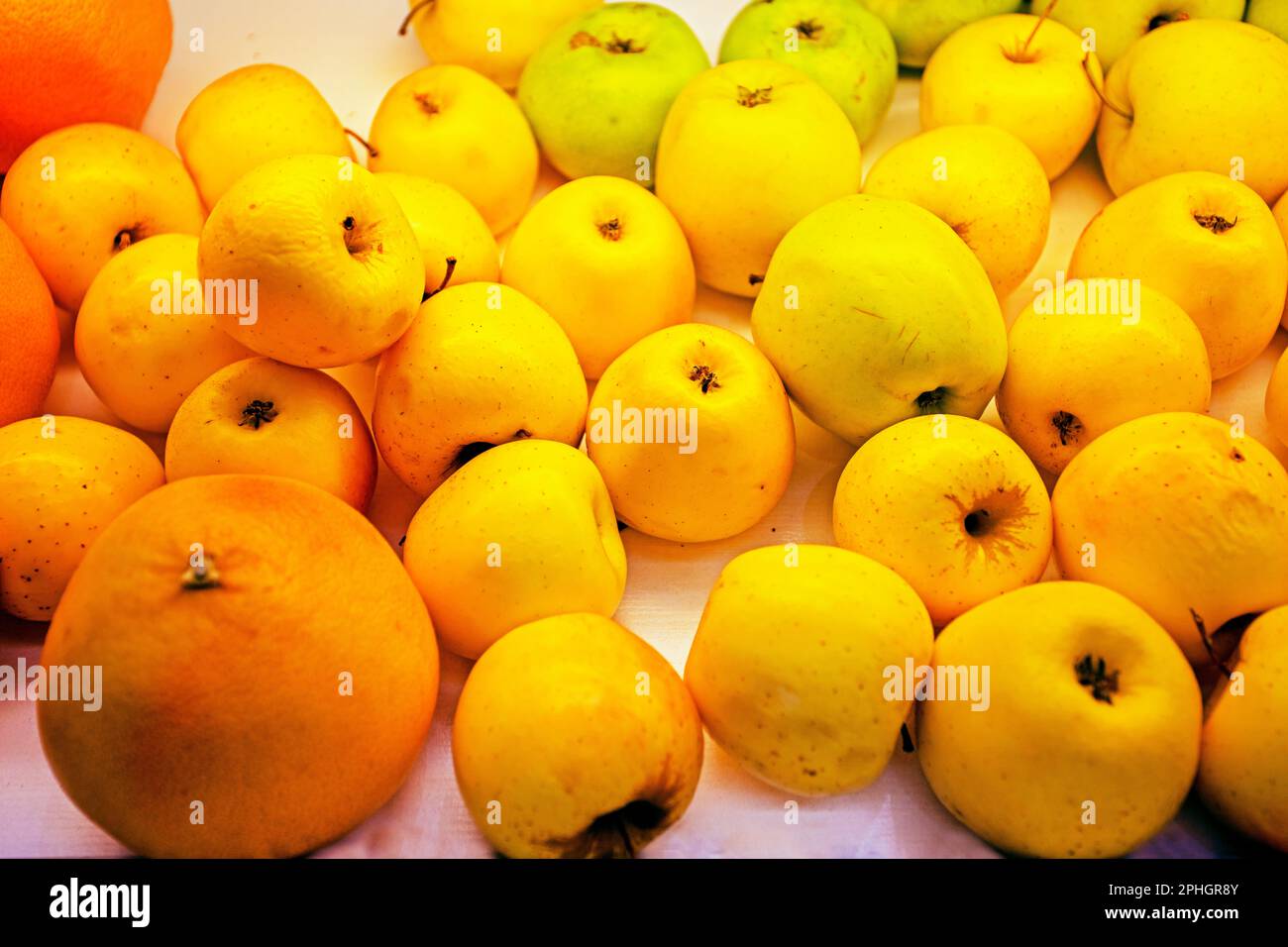 green and yellow gold apples with orange juicy oranges. horizontal ...