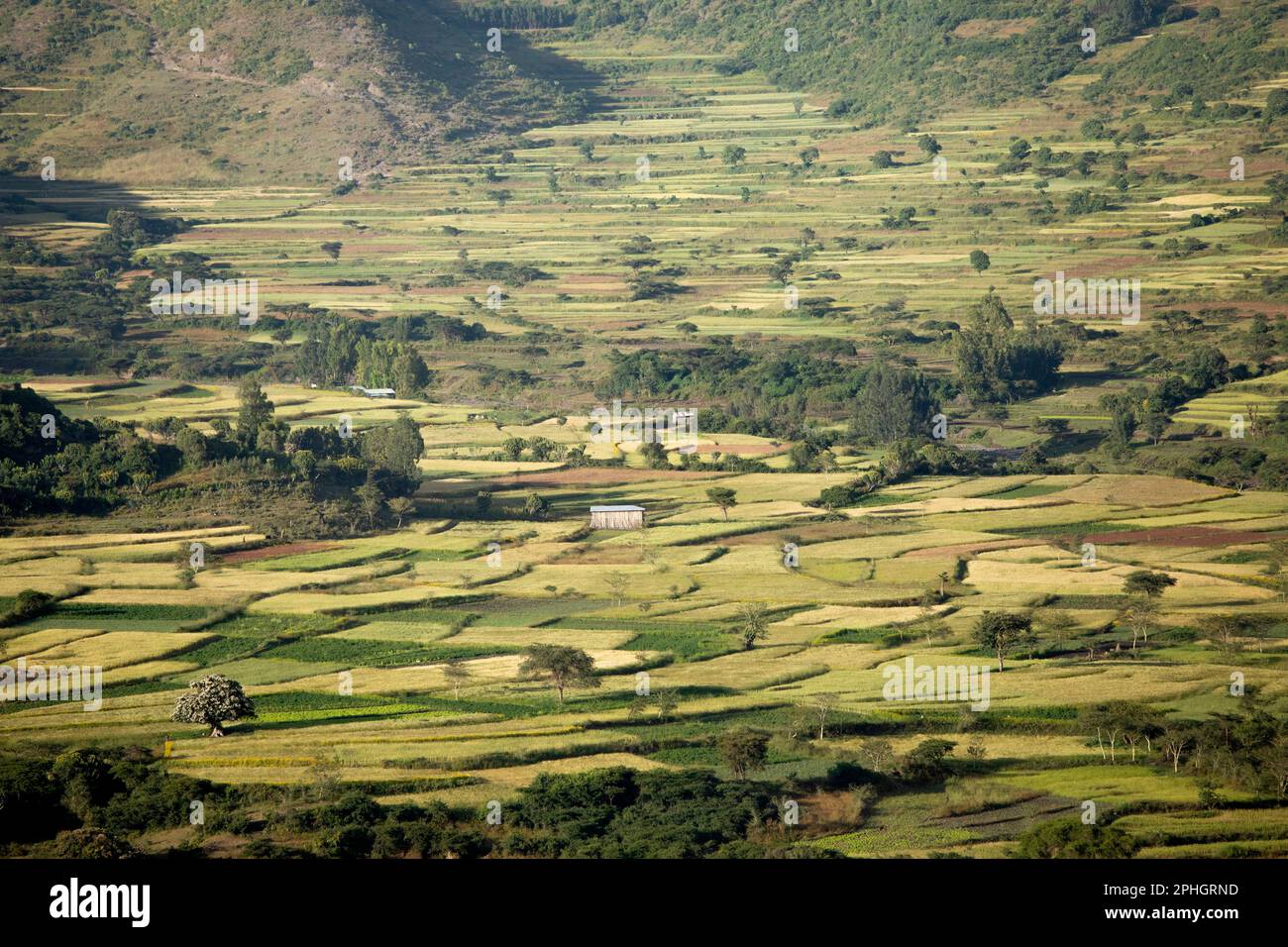 Terraced farms in the mountains of Ethiopia between Dessie and ...