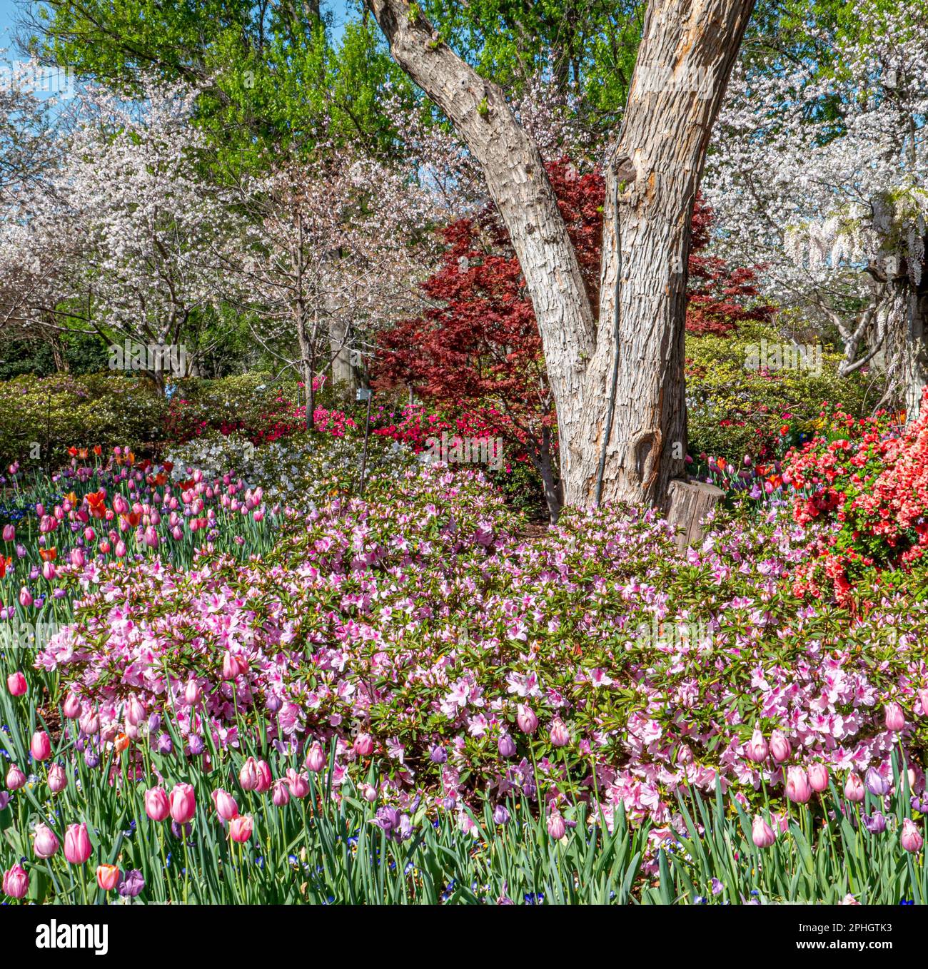 The beauty of a spring botanical gardens is good for the soul and ...