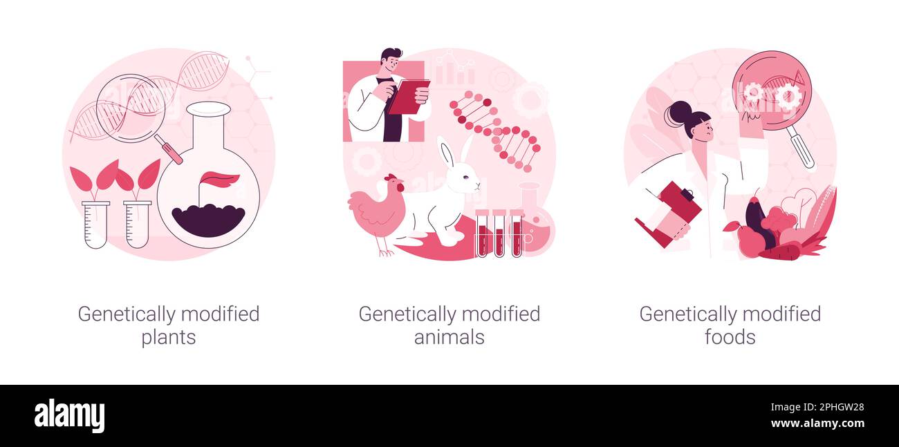 Biotechnology in agriculture abstract concept vector illustration set. Genetically modified ...