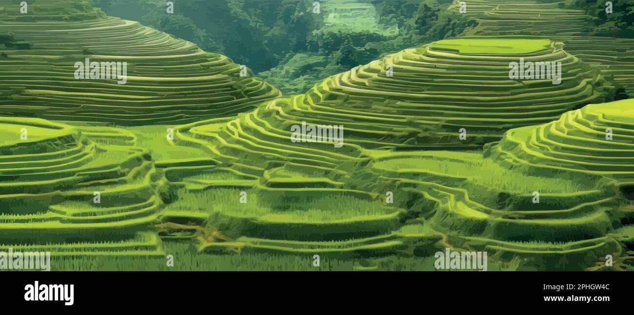 Rice plantations Stock Vector Images - Alamy