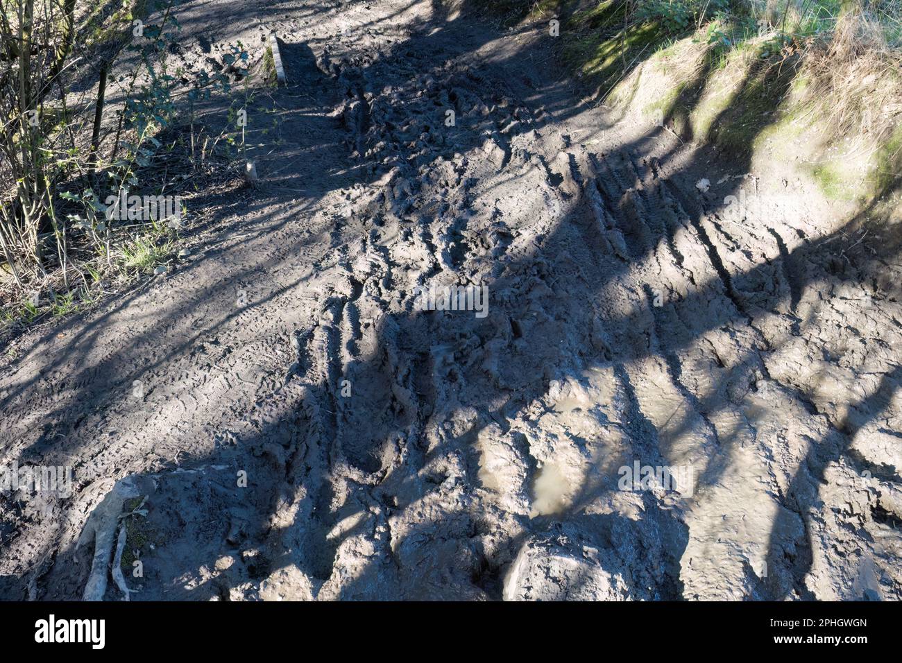 environmental impacts of mountain biking may outweigh the benefits ...