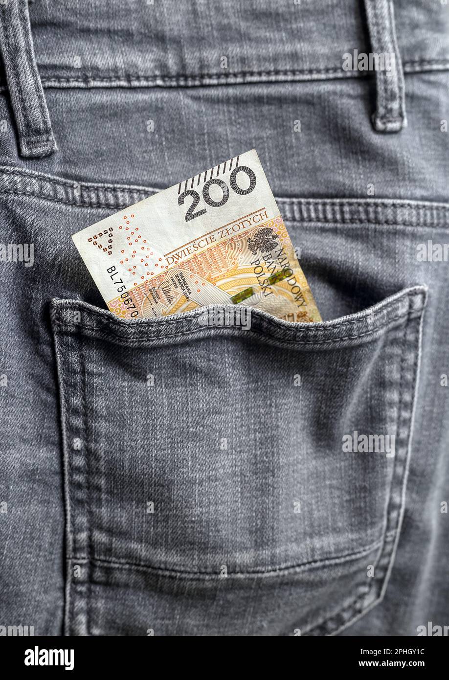 A Polish banknote sticking out of the pocket of gray trousers Stock ...