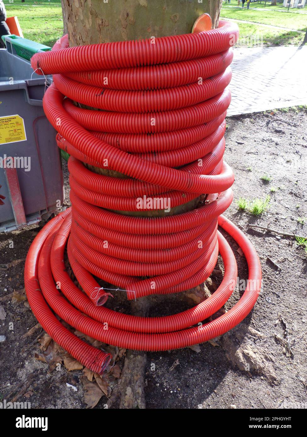 UNE PROTECTION DE L'ARBRE EN FORME DE TUYAU ROUGE. PARIS 12. FRANCE ...