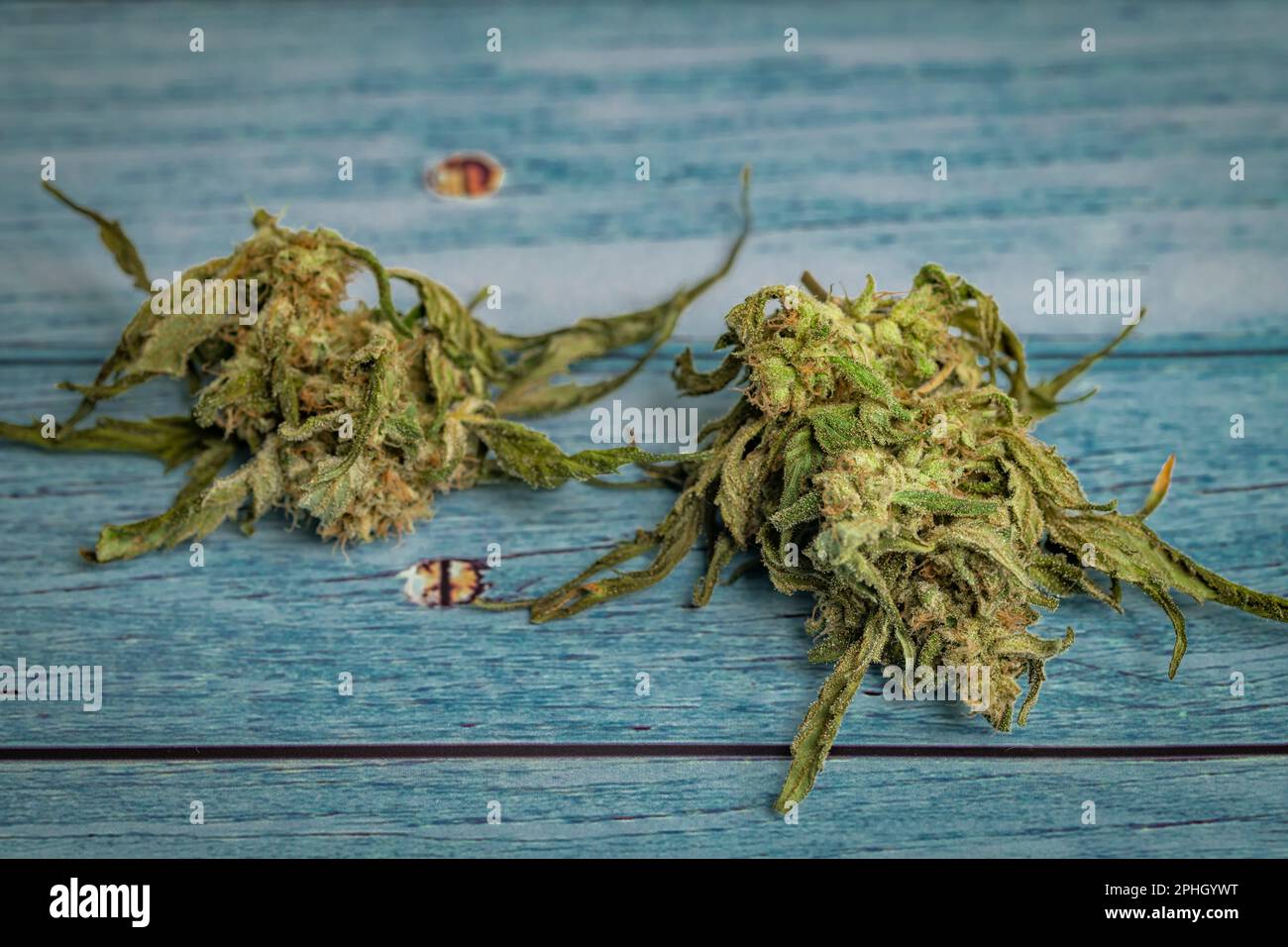 Marihuana flower on table hi-res stock photography and images - Alamy