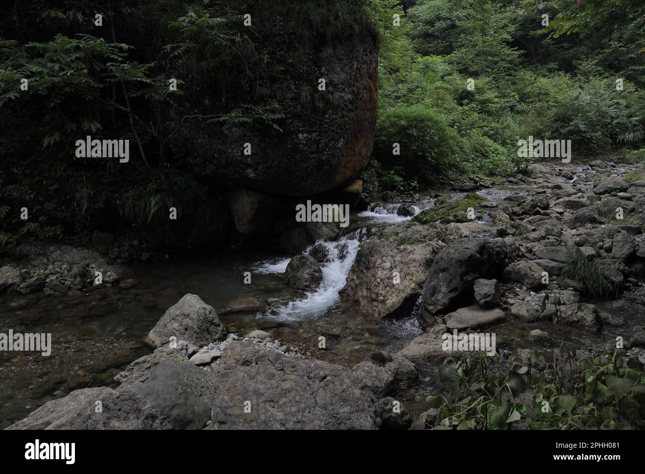 A small brook surrounded by rocks and greenery Stock Photo - Alamy