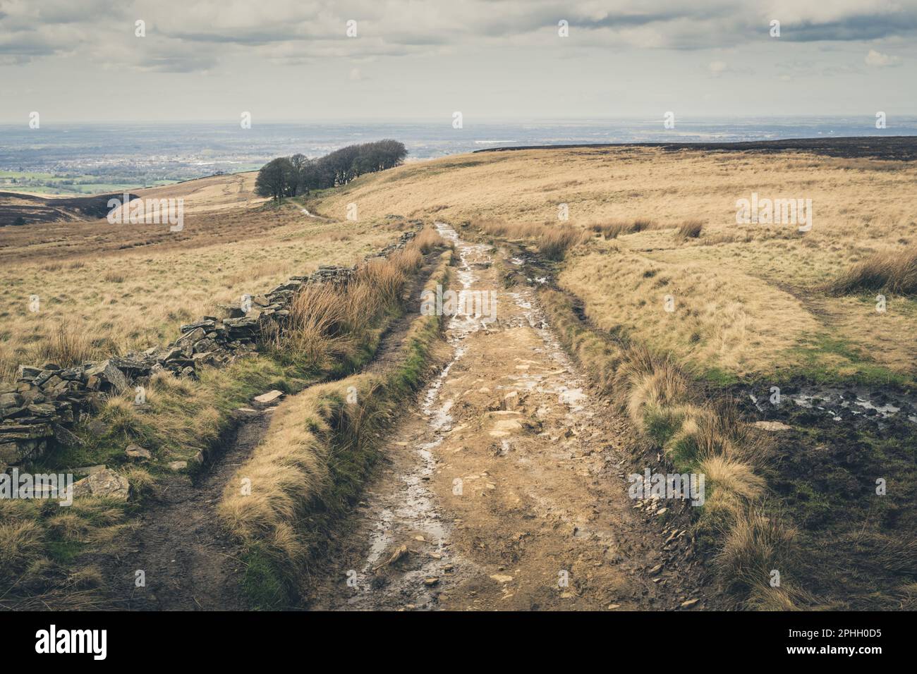 White Coppice, Great Hill and Anglezarke Circular is a 9.2 mile loop ...