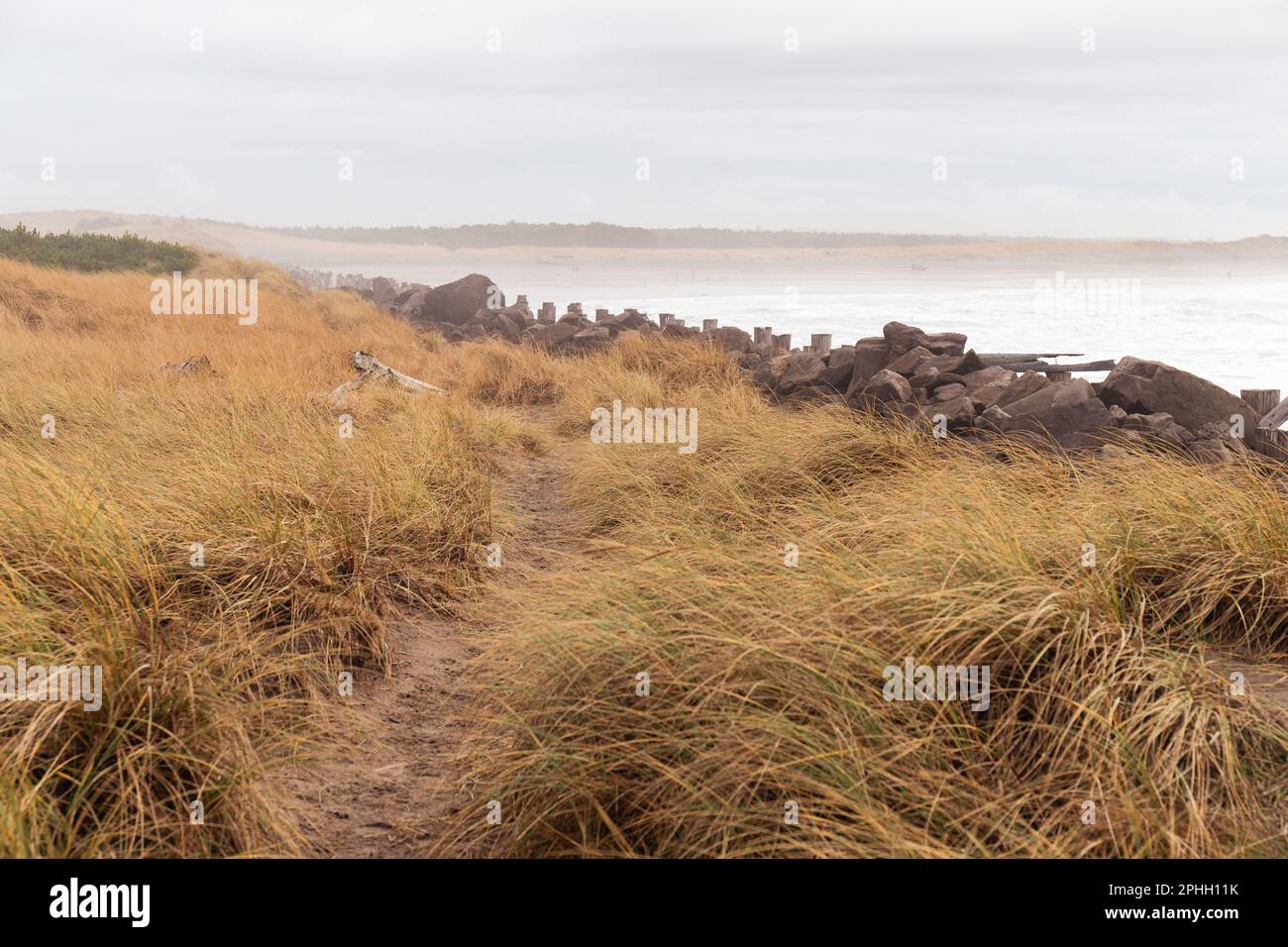 Footpath Through Beach Dunes to Jetty Along Pacific Ocean Stock Photo ...