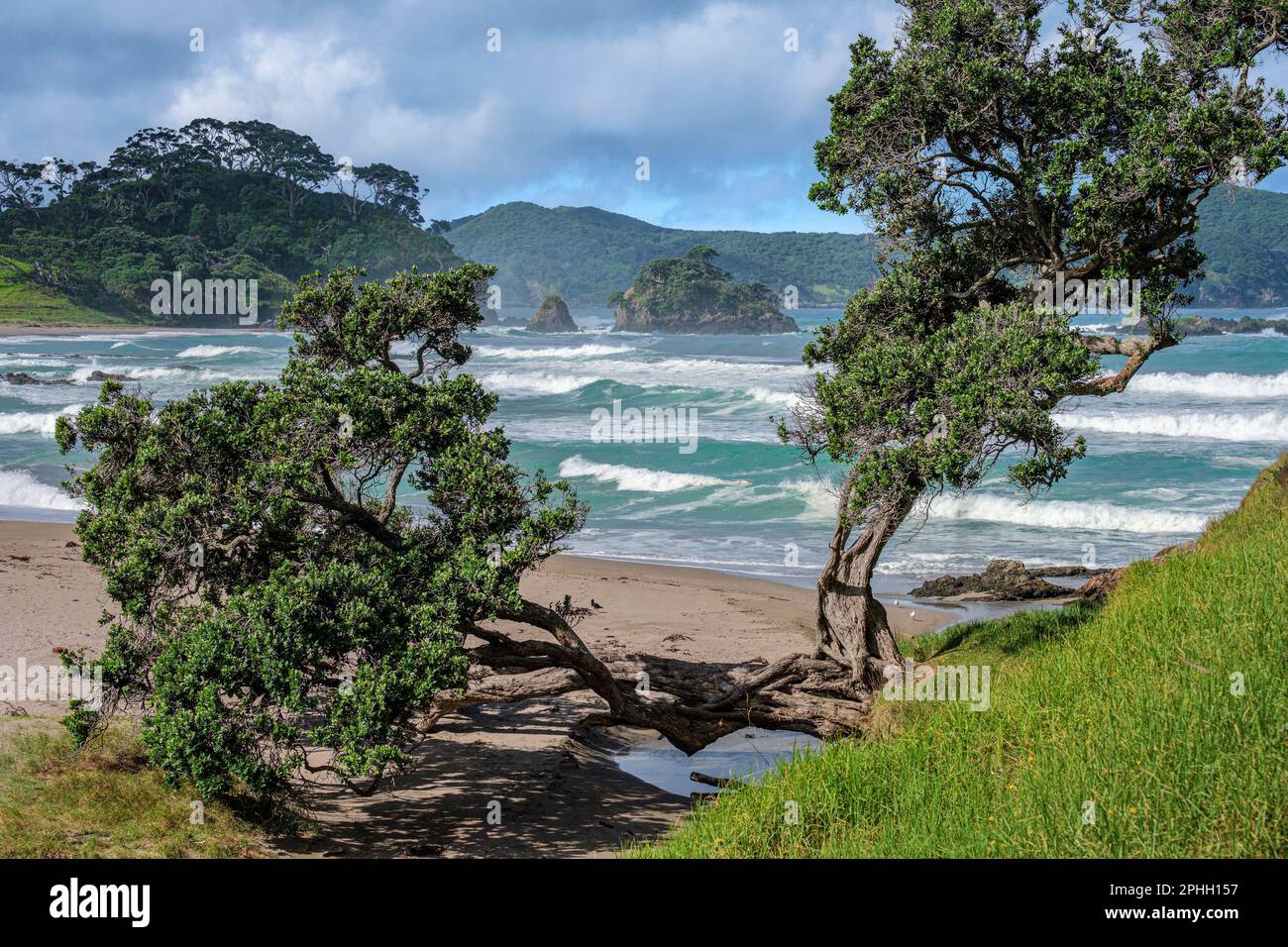 Elliot bay new zealand hi-res stock photography and images - Alamy