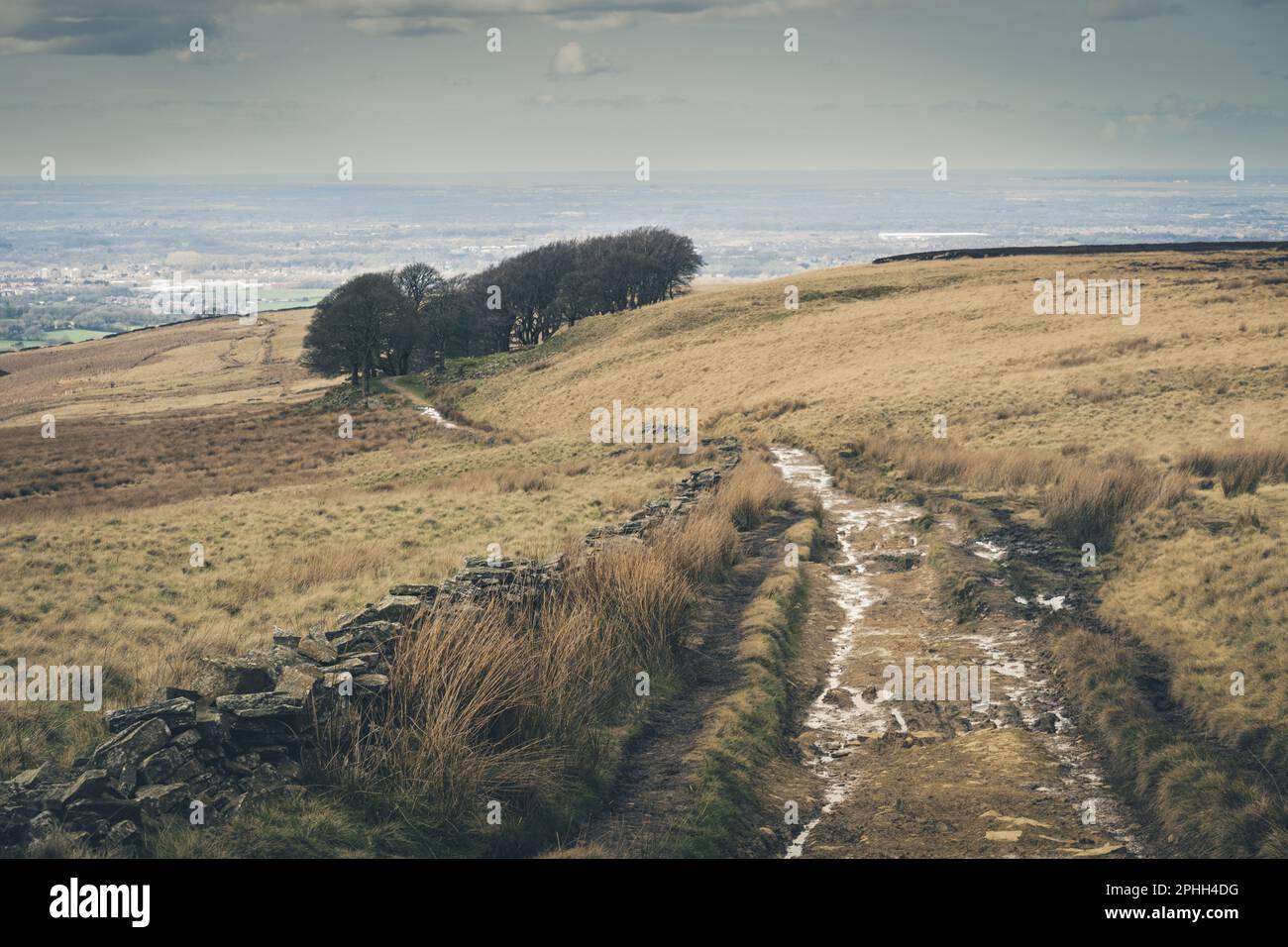 White Coppice, Great Hill and Anglezarke Circular is a 9.2 mile loop ...