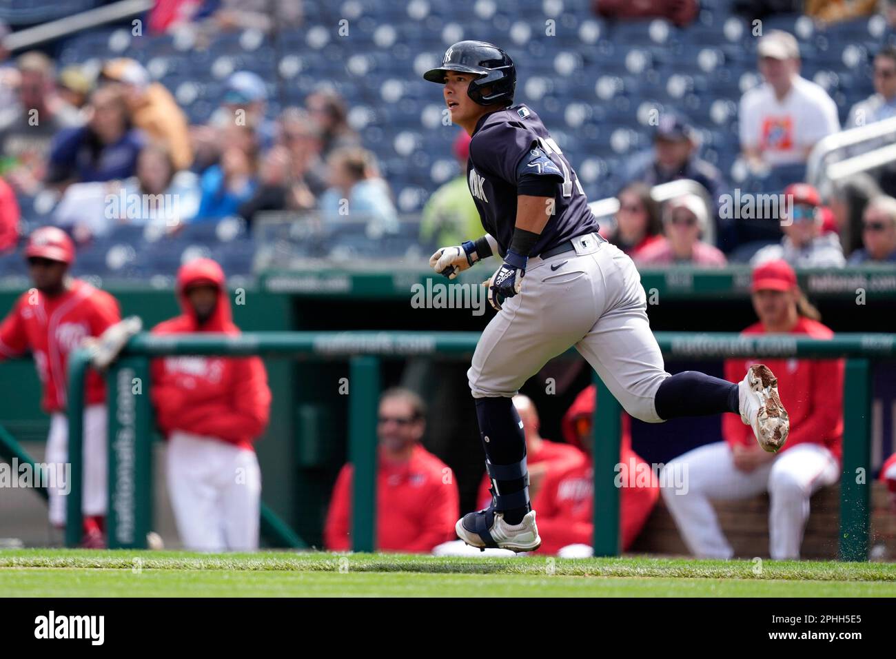 New York Yankees' Anthony Volpe singles in the third inning of an ...