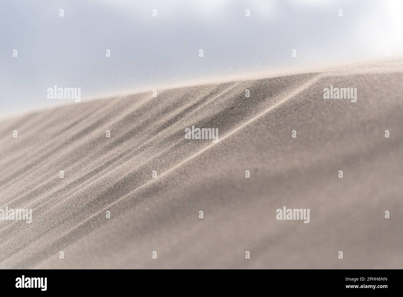 Fine texture and lines of sandy dunes in a desert Stock Photo - Alamy