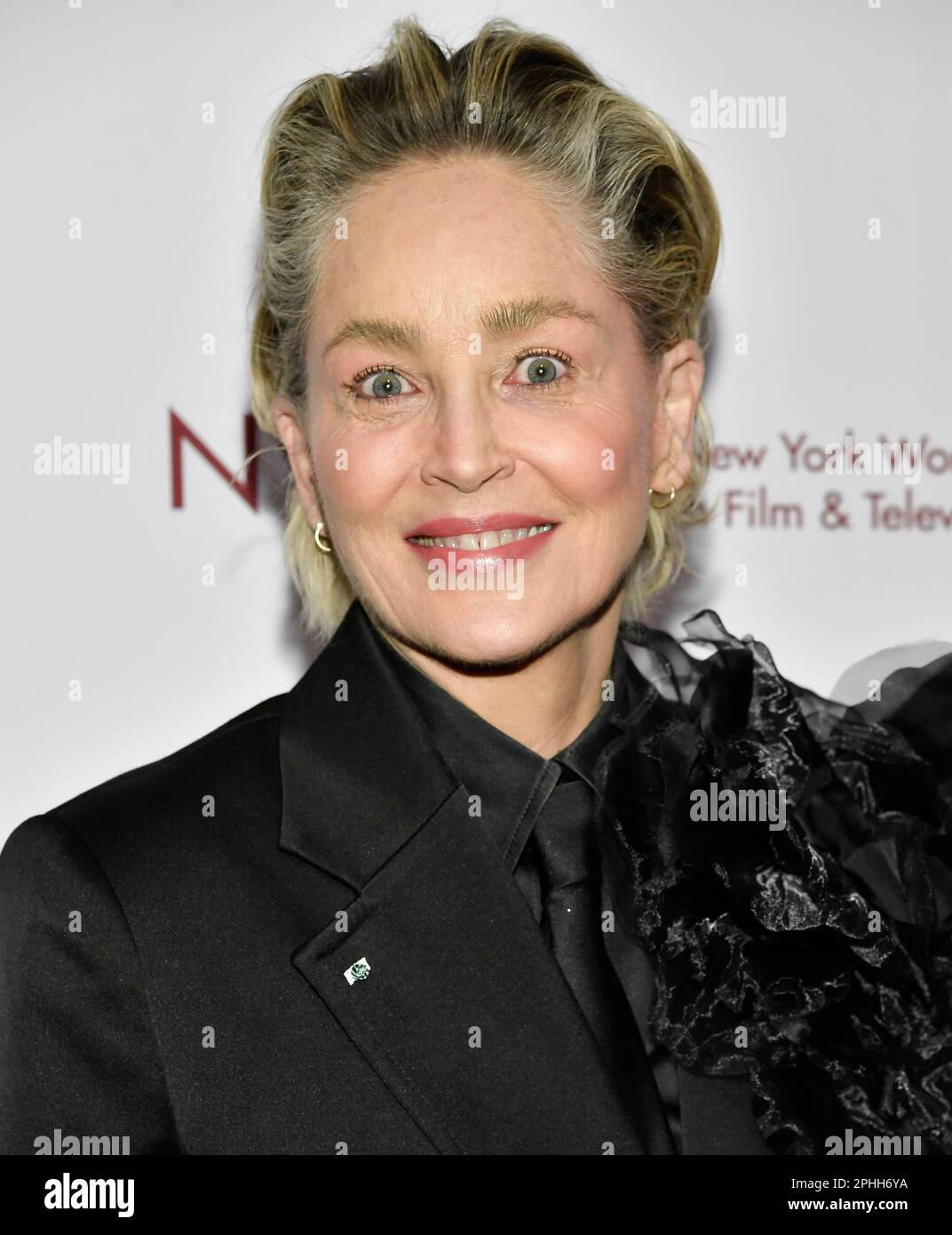 Sharon Stone attends the New York Women In Film & Television's 43rd ...