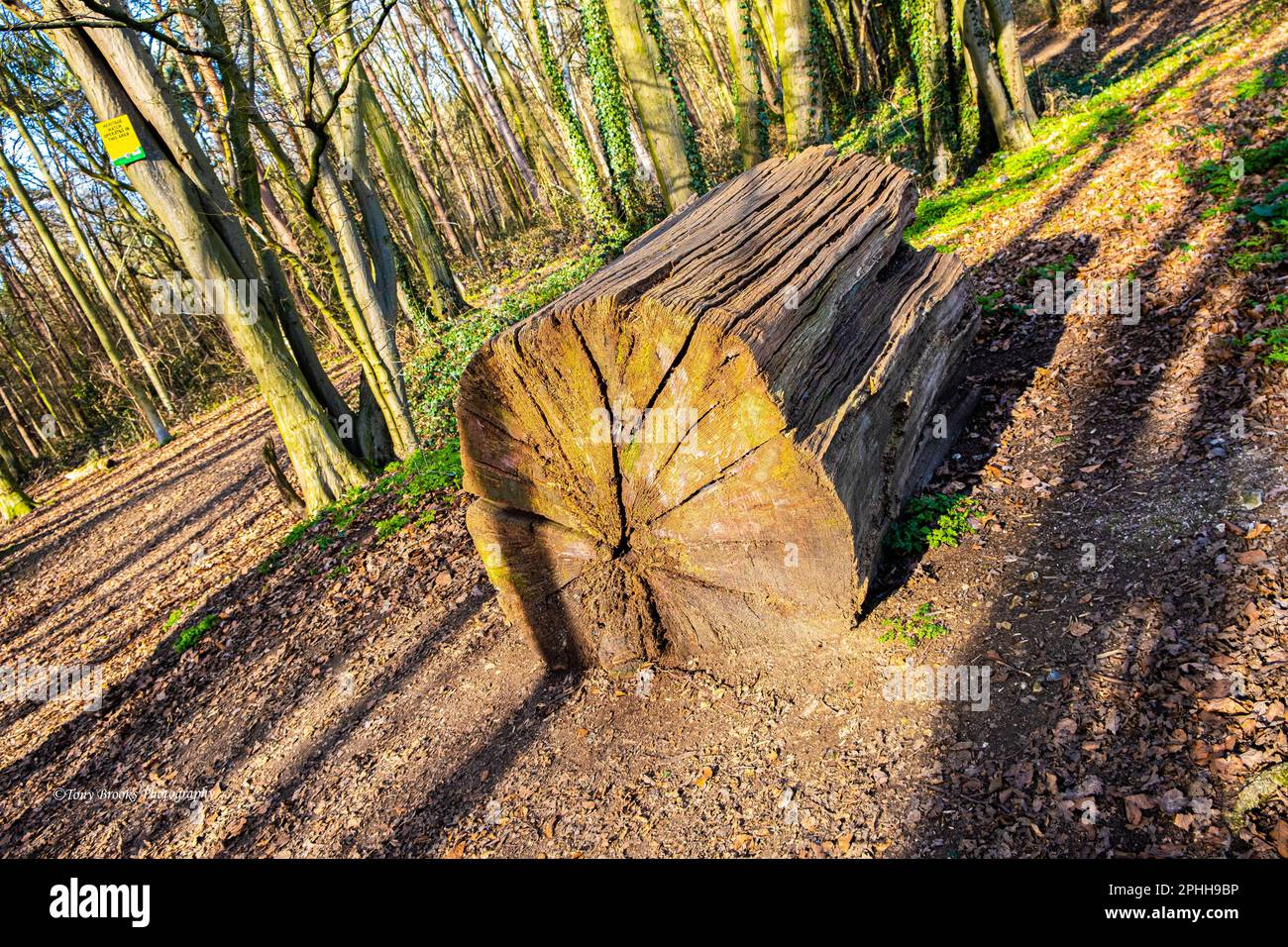 Captured images whilst on walk about Stock Photo - Alamy