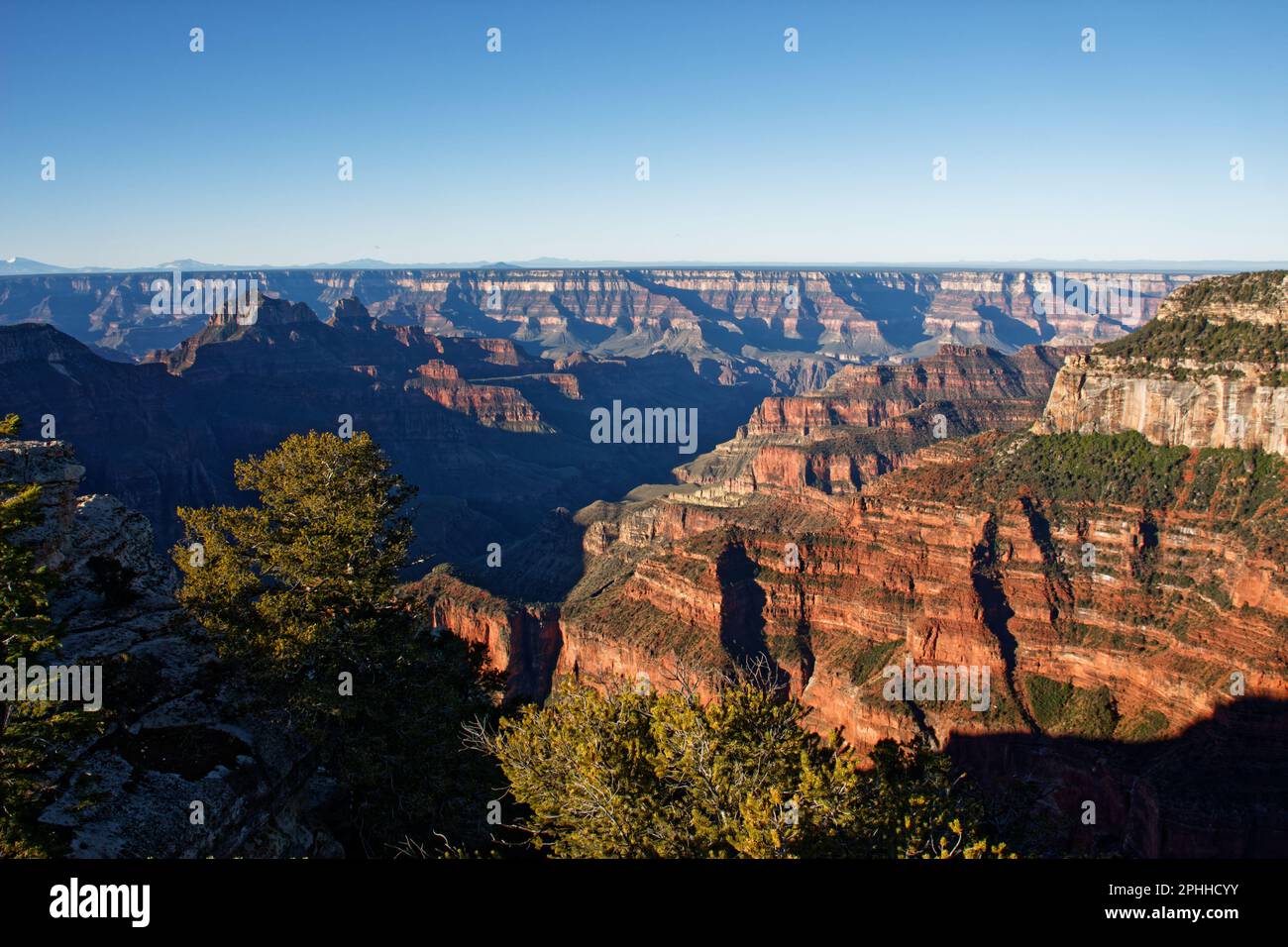 Panoramic view of Grand Canyon North Rim from Bright Angel Point ...