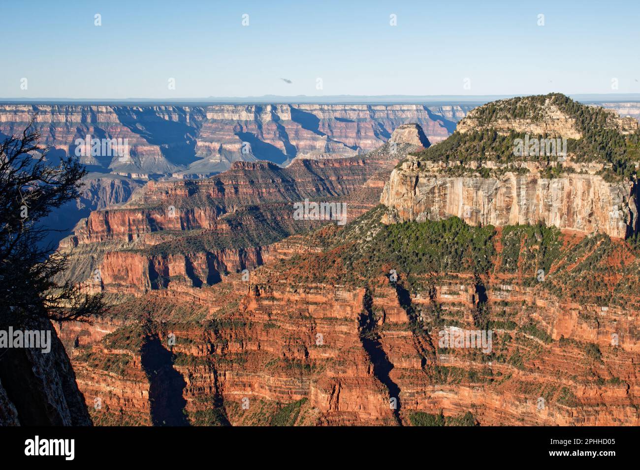Panoramic view of Grand Canyon North Rim from Bright Angel Point ...