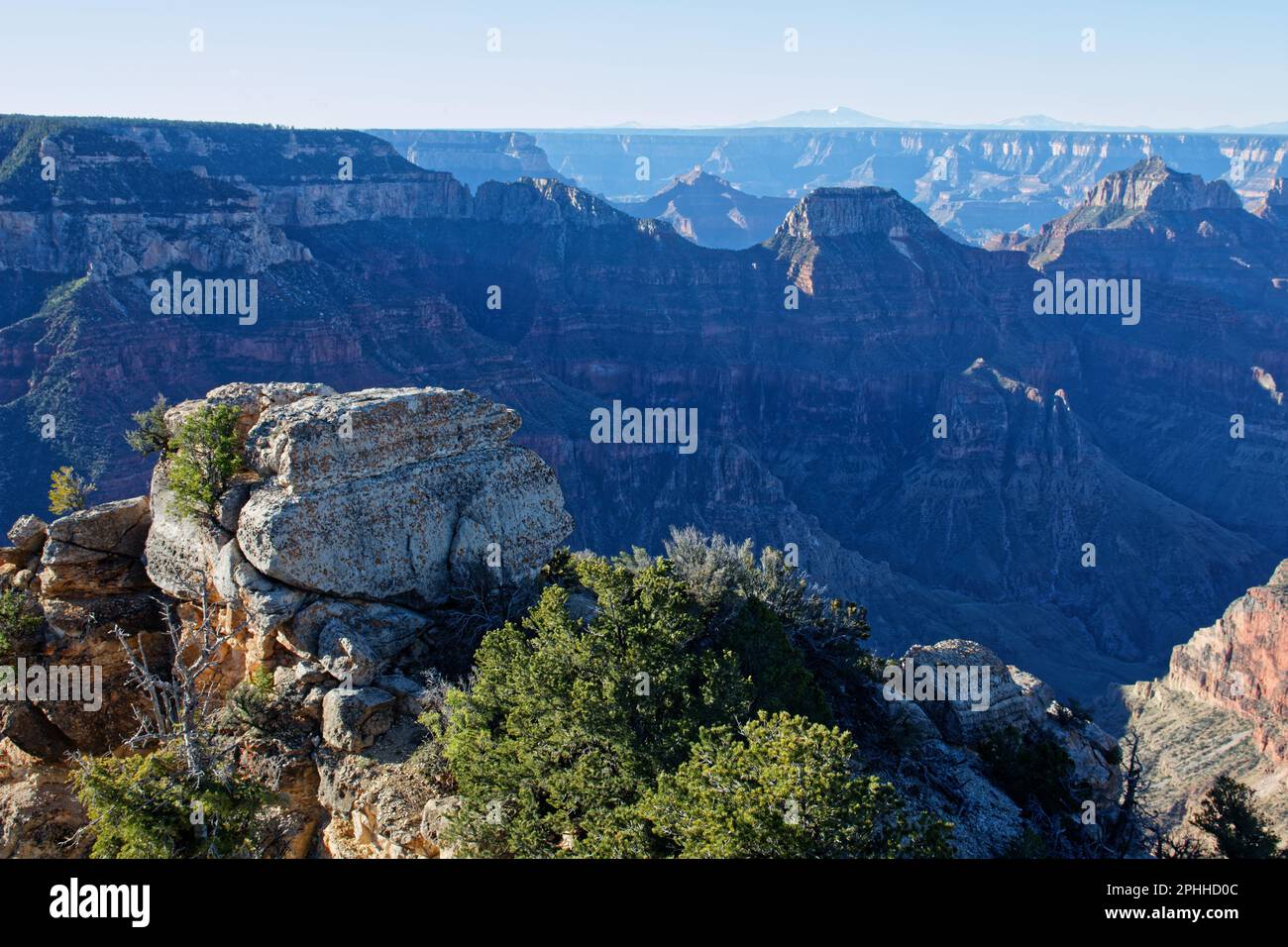 Panoramic view of Grand Canyon North Rim from Bright Angel Point ...